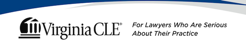 Guardians ad litem in Contested Guardianships | Cucinelli Geiger, PC